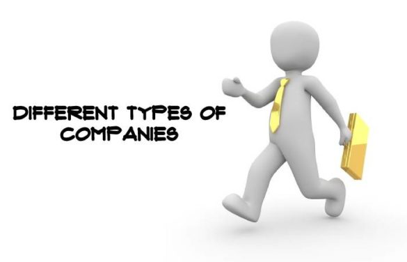 Types of Company: Explaining The 9 Most Popular Types | 2020